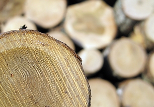 Industry: Automation, Control & Visualisation | Sprecher Automation ...